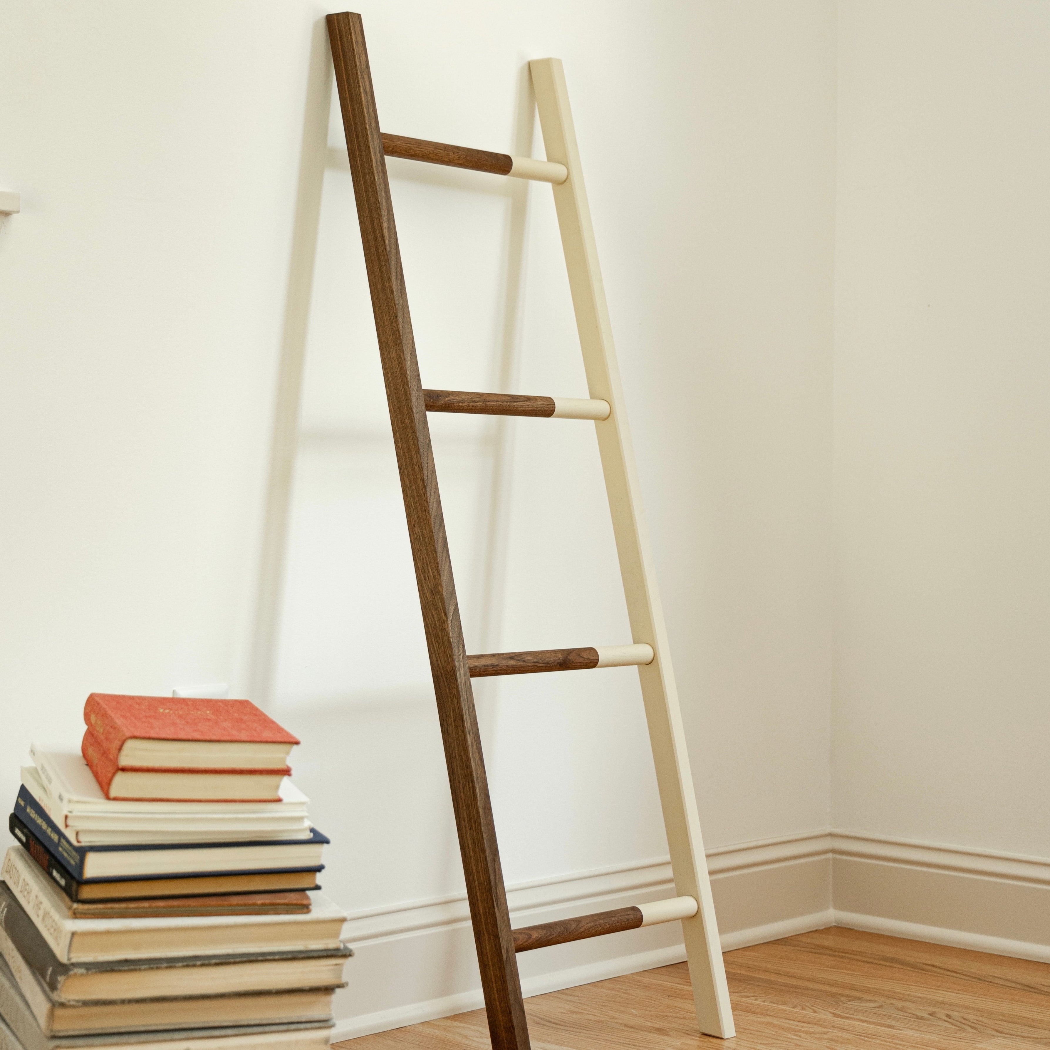Found Ladder– Solid Manufacturing Co.