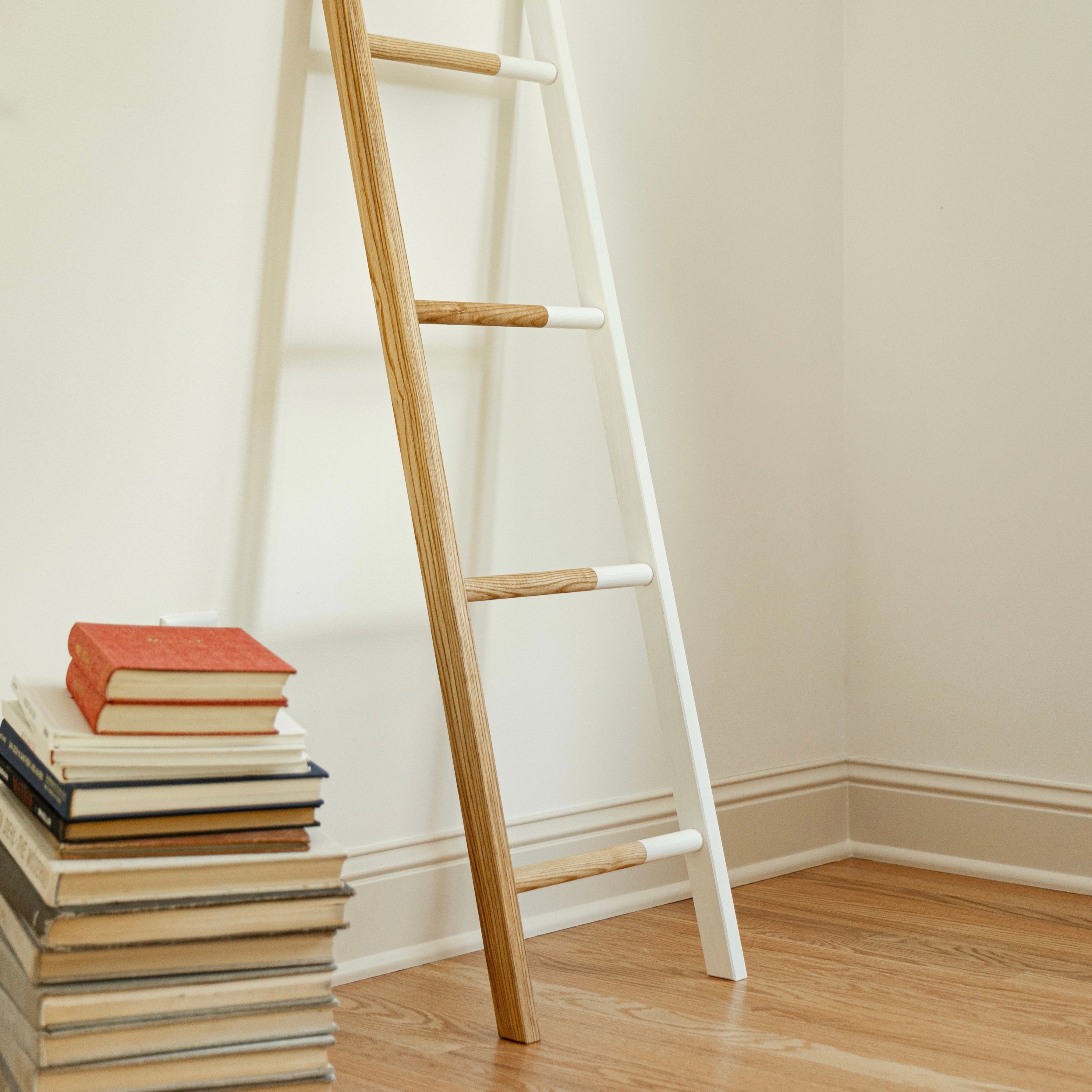 Found Ladder– Solid Manufacturing Co.